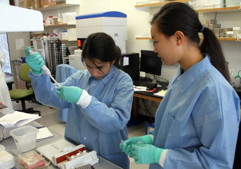 Methods in Stem Cell Engineering - LA Biotech Center